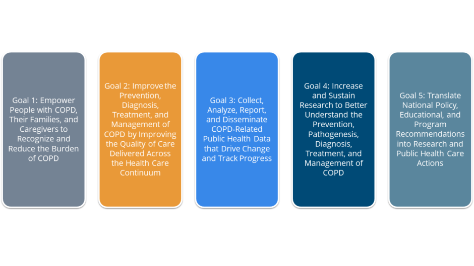 MVC Shares National Action Plan with COPD Workgroup Attendees